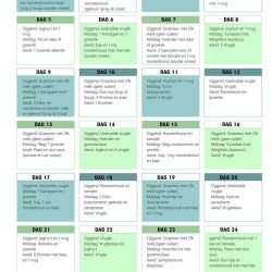 Free Resources | 28 Dae Eetplan